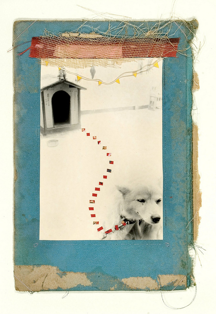 Nina Garner | Charleston SC | Charleston Magazine