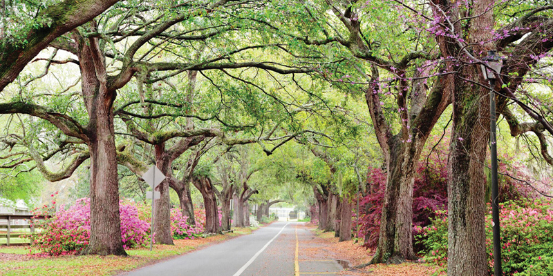In the Neighborhood: Exploring Wagener Terrace with resident artist ...