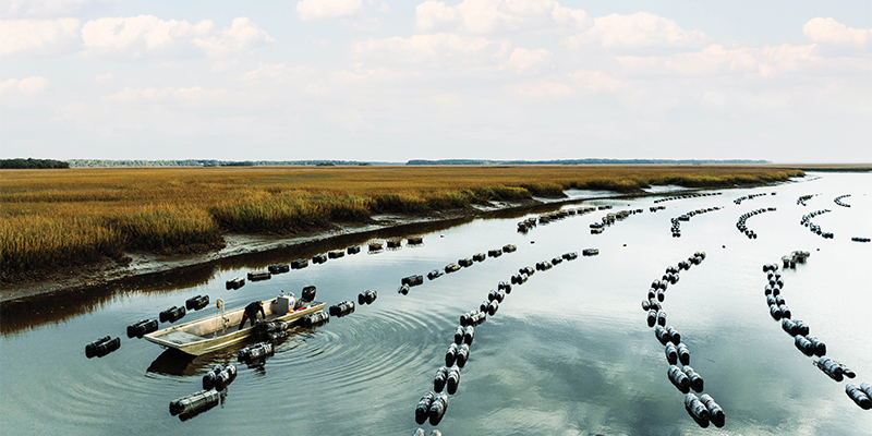 A Briny Business: Learn about the historic ebbs and flows of the local ...