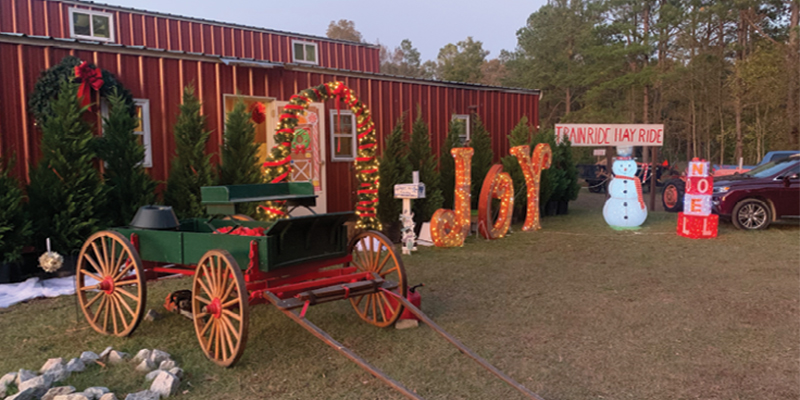 Cut your own and start a new family tradition at the Lebanon Christmas ...