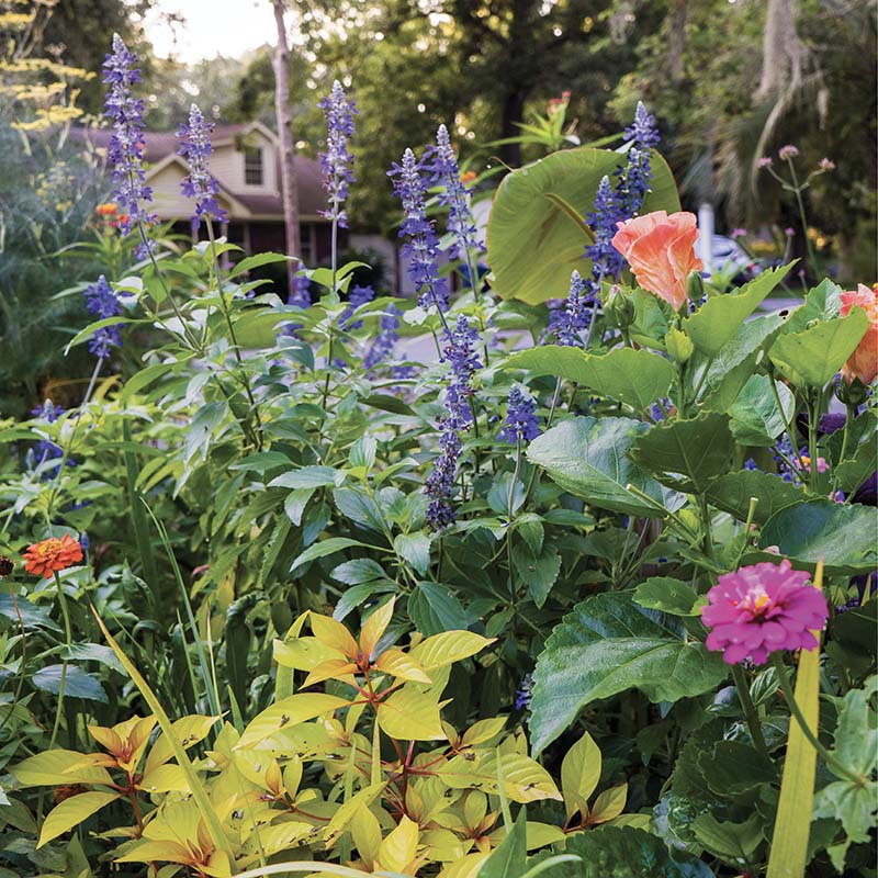 Welcome To Charleston| Charleston Magazine | Charleston, SC