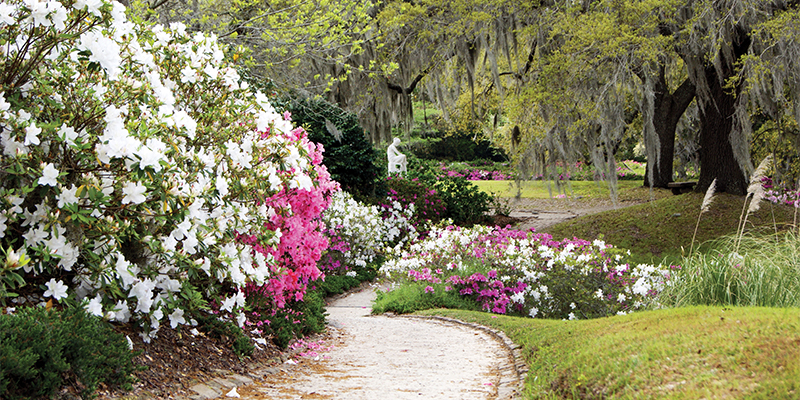 An Insider’s Guide to Charleston Gardens: Revel in the spring season at ...