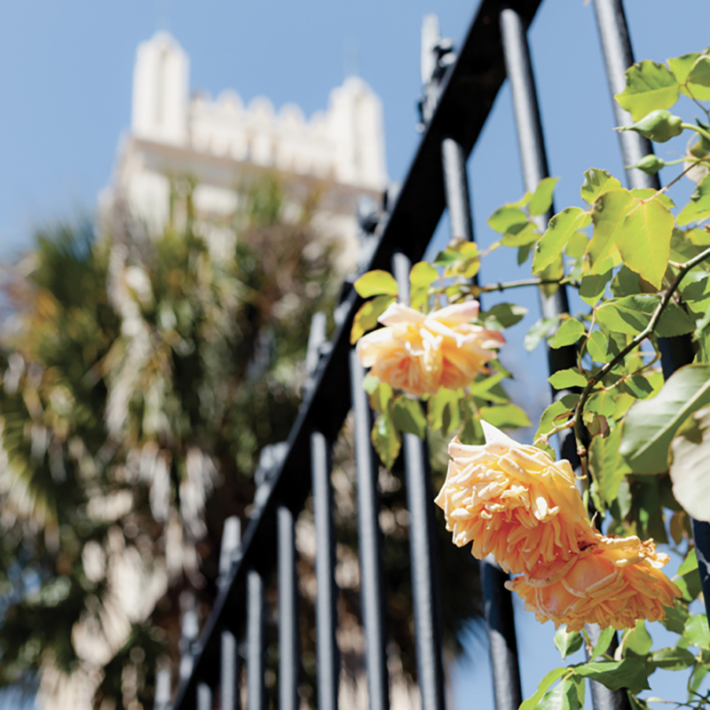 Welcome To Charleston| Charleston Magazine | Charleston, SC