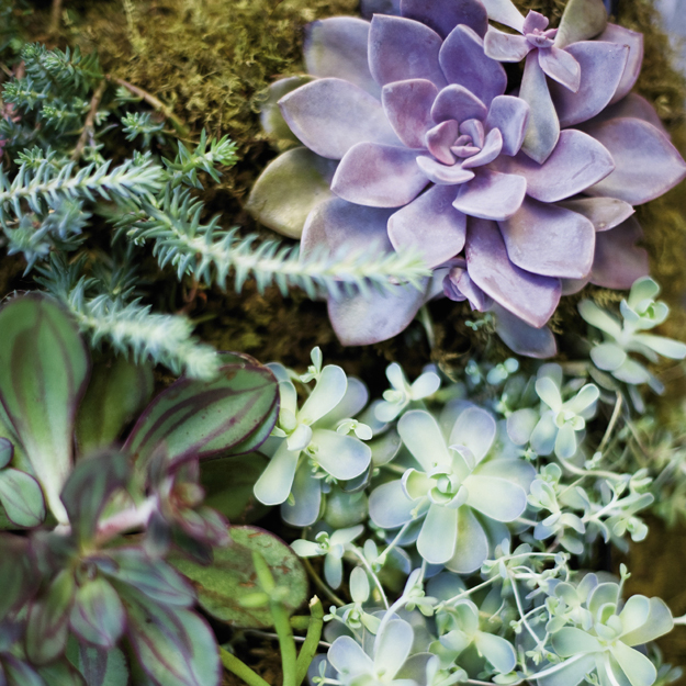 Earthly Ideas | Charleston SC | Charleston Magazine