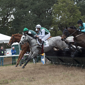 Welcome To Charleston| Charleston Magazine | Charleston, SC