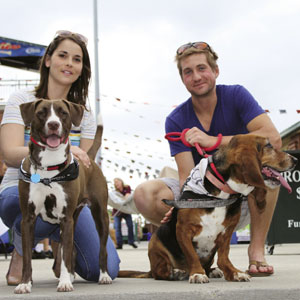 Nonprofit of the Year, Pet Helpers | Charleston SC | Charleston Magazine