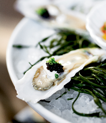 Oysters/On the Half Shell: The Ordinary | Charleston SC | Charleston ...