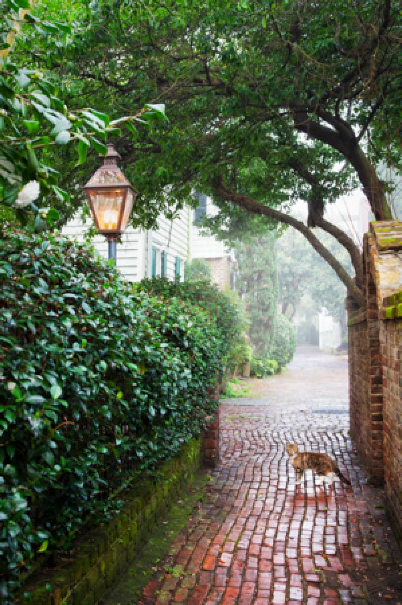Welcome To Charleston| Charleston Magazine | Charleston, SC