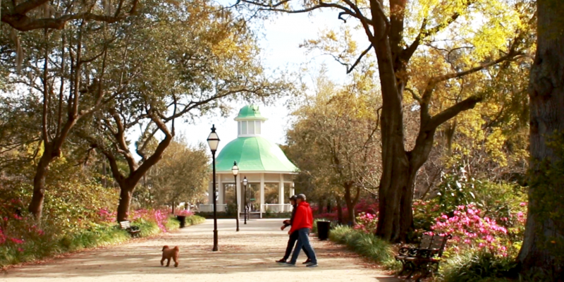 Springtime in Hampton Park | Charleston Magazine | Charleston, SC